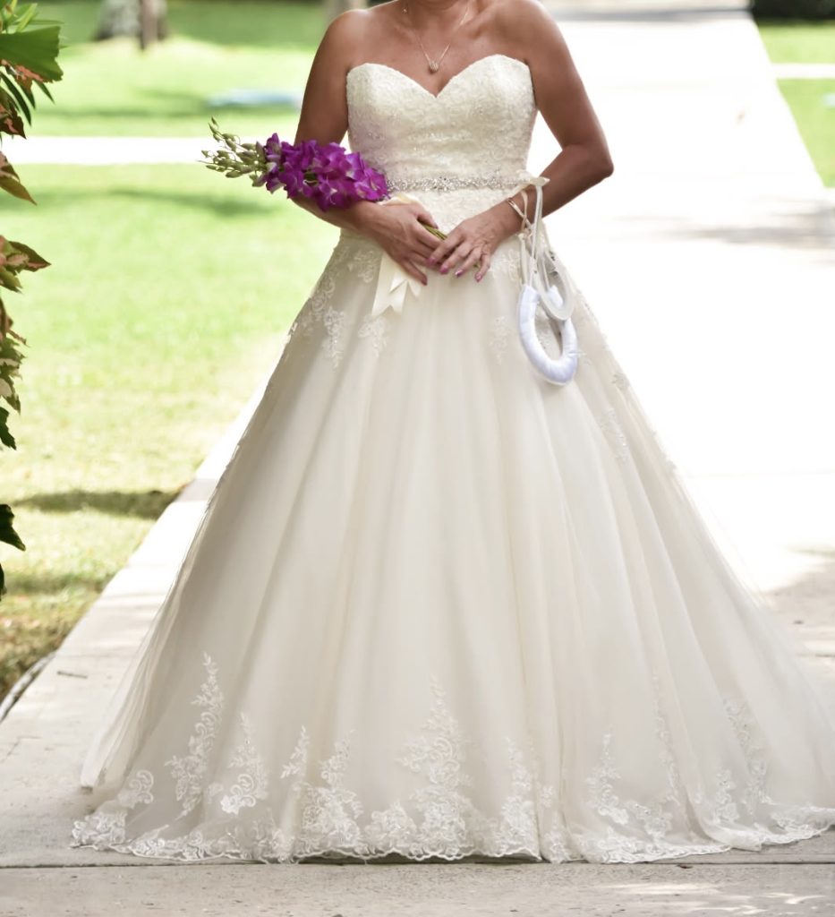 Wed2Be Aviva Bride Lace Bodice Dress Size 12 Blush - on Bride2bride